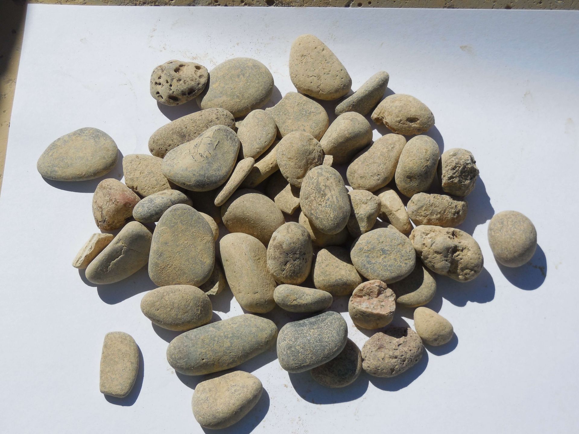 Home - The Rock Shop Grand Junction, CO