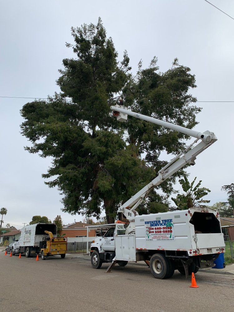 GALLERY | Estates Tree Service | San Diego & Imperial County, California