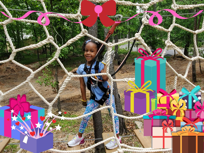 Tree Trekkers Outdoor Aerial Adventure and Zipline Park