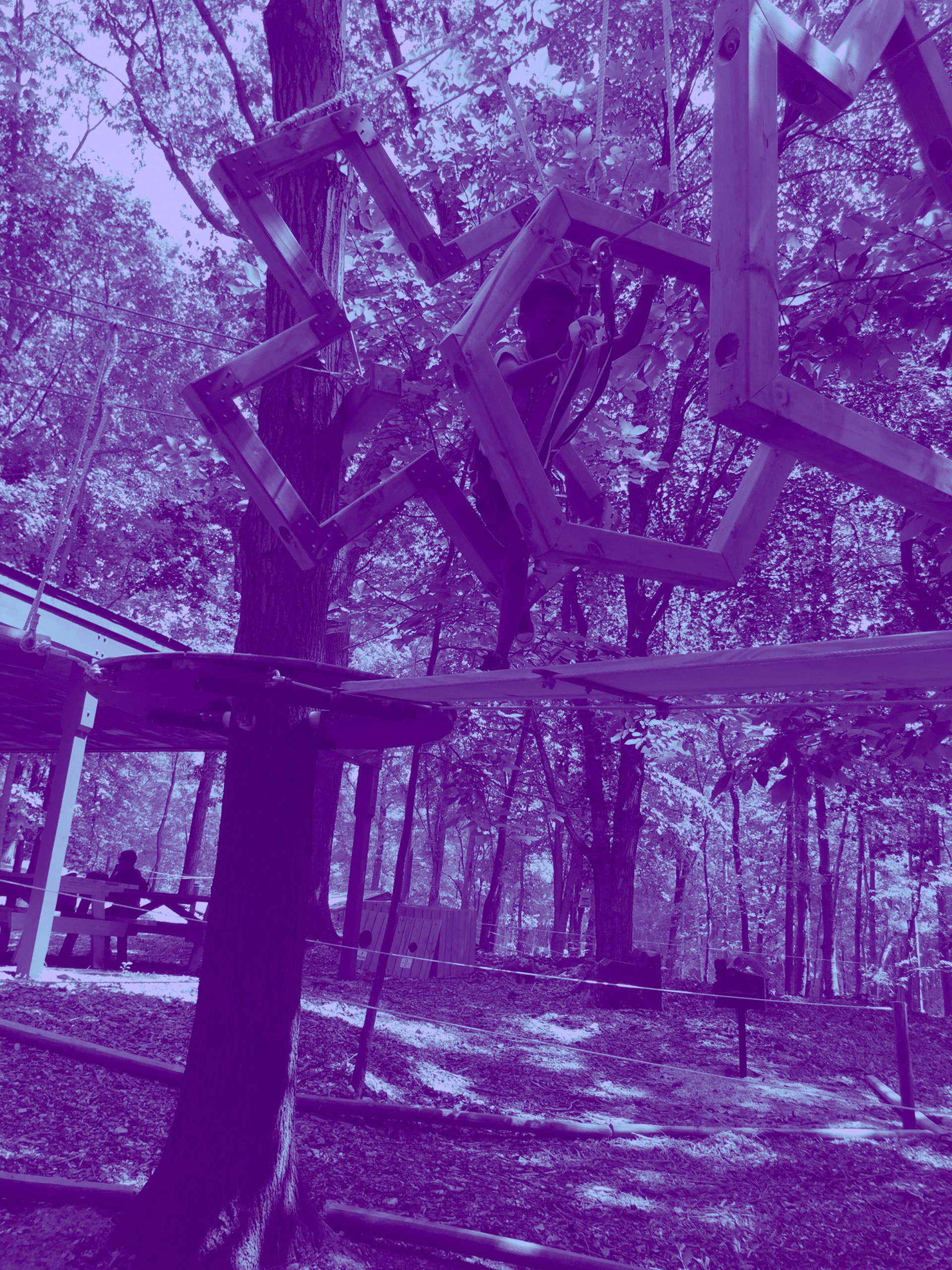 Tree Trekkers Outdoor Aerial Adventure and Zipline Park