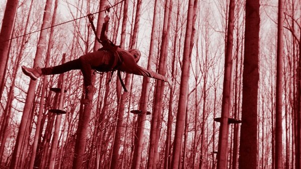 Tree Trekkers Outdoor Aerial Adventure and Zipline Park