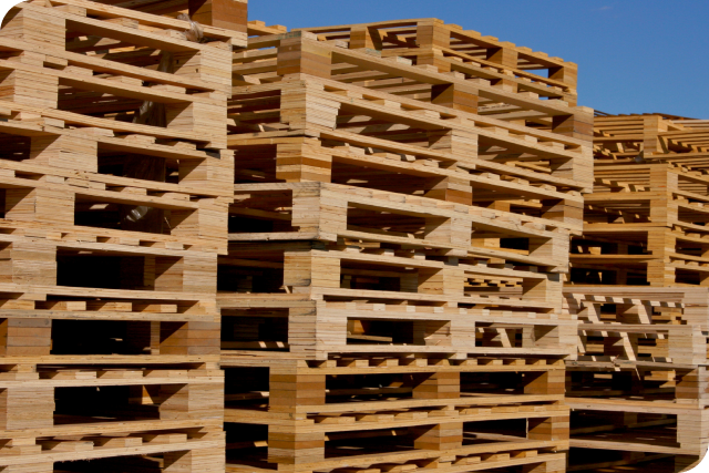 Pallet Management System in Canada | Consolidated Pallet Co.