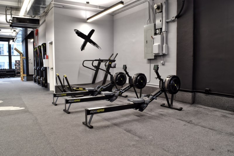 Bull By The Horns Fitness