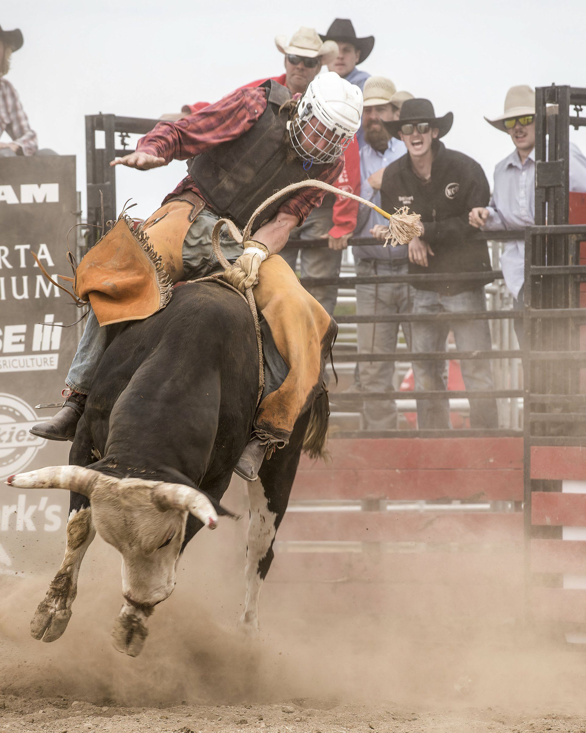 Strath Rodeo