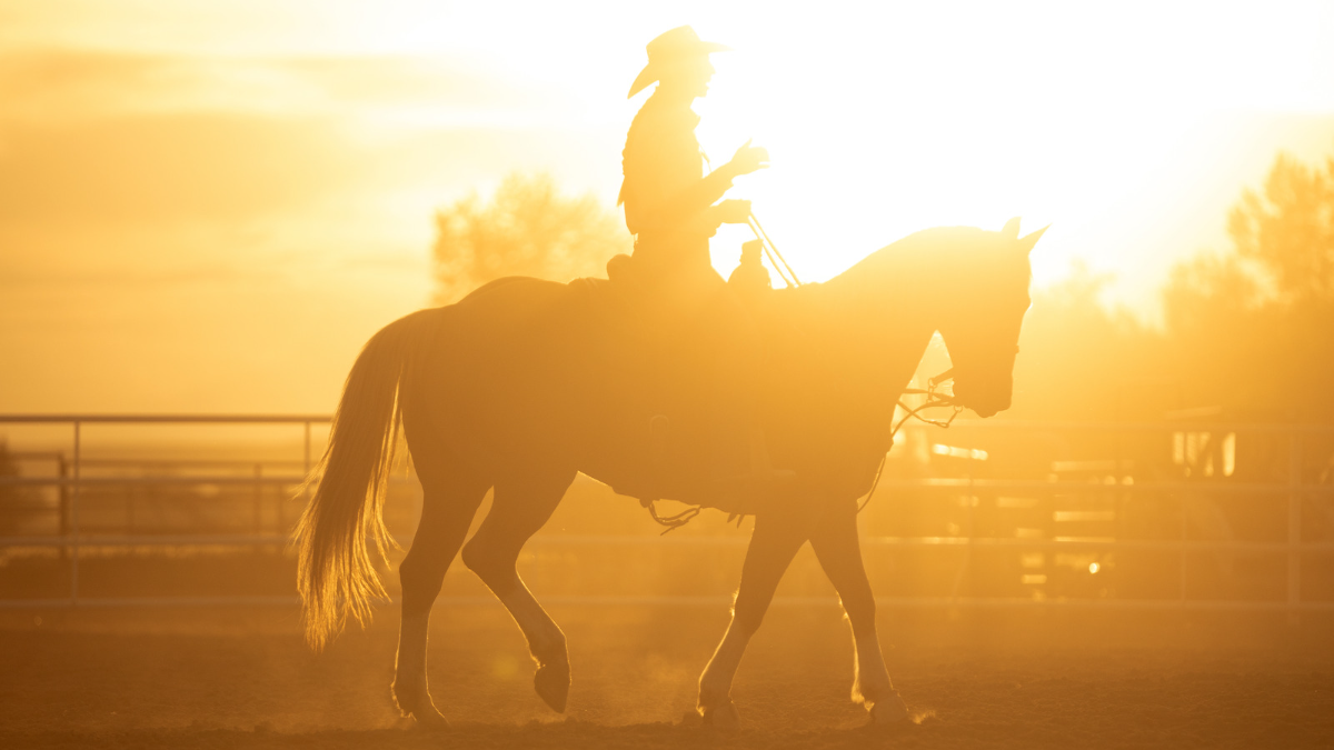 Strath Rodeo