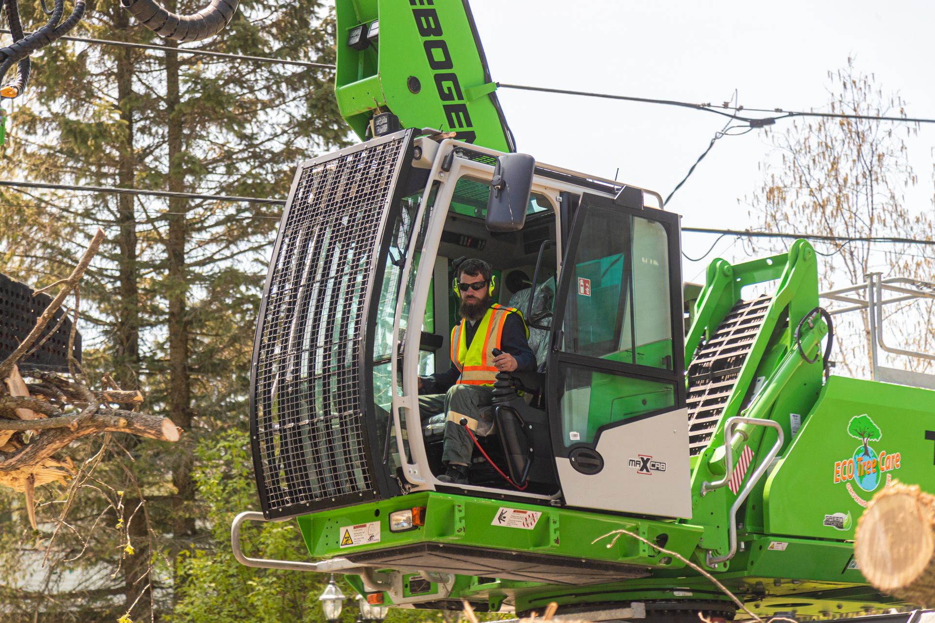 Eco Tree Care | Tree Service Company | Kingston