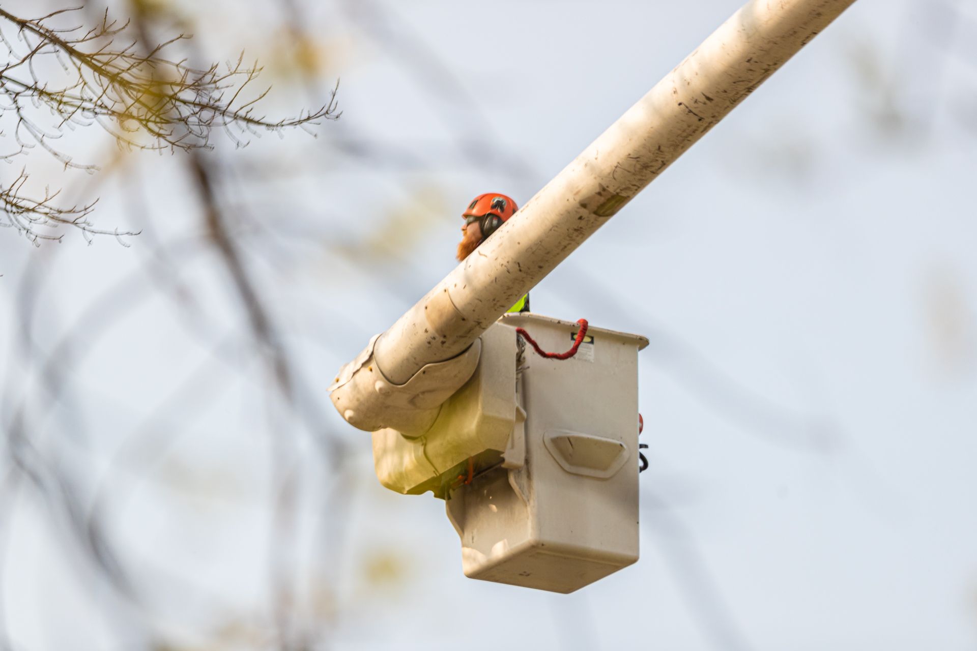 Eco Tree Care | Tree Service Company | Kingston
