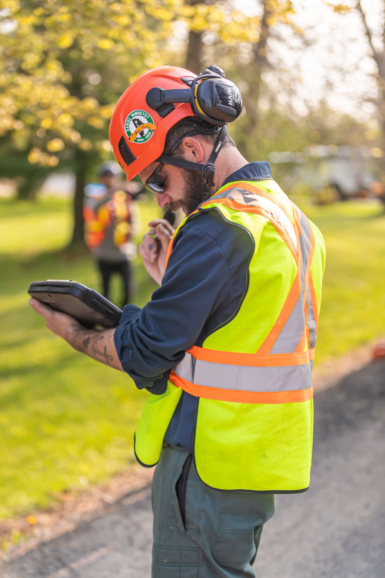 Eco Tree Care | Tree Service Company | Kingston