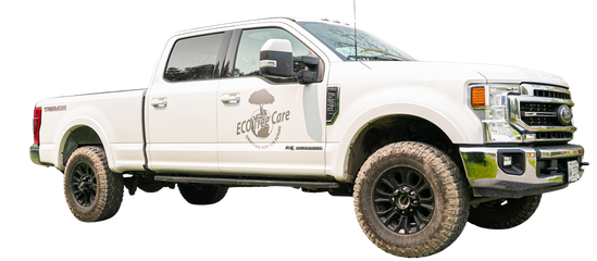 Eco Tree Care | Tree Service Company | Kingston