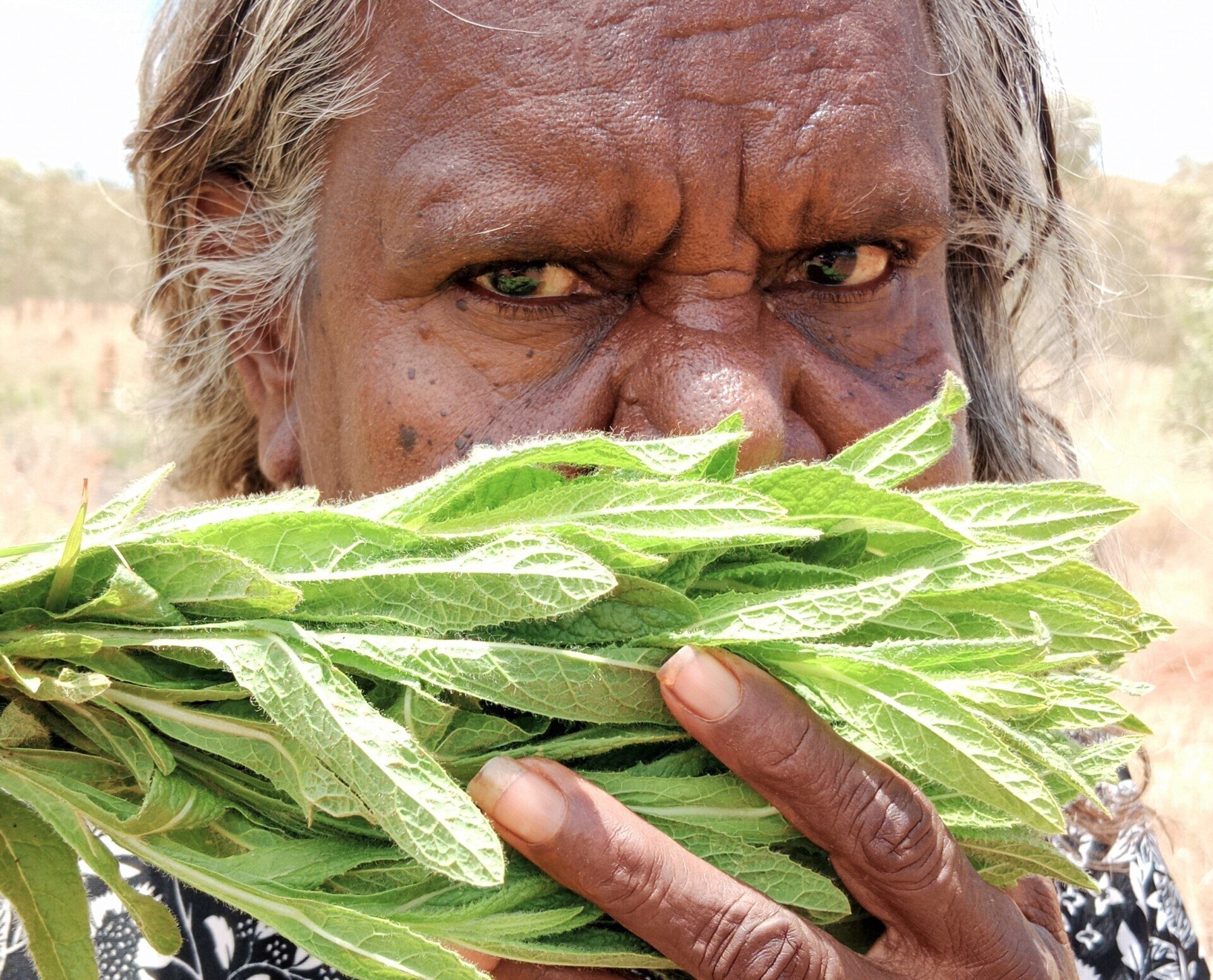 Harm Minimisation | Tennant Creek Mob Aboriginal Corporation