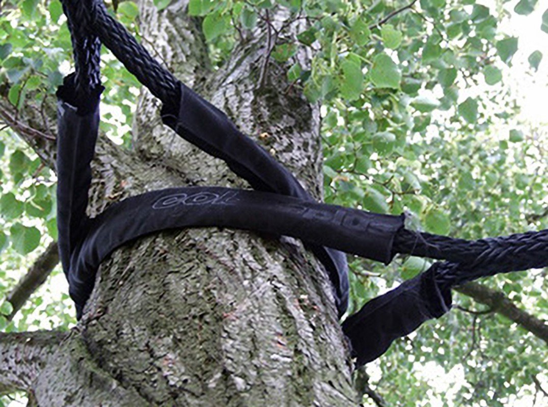 Seattle Tree Care | Certified Arborists | Free Quotes