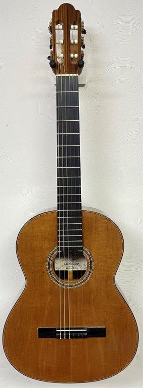 Guitar repairs | Dana Sound Research, Inc | DE