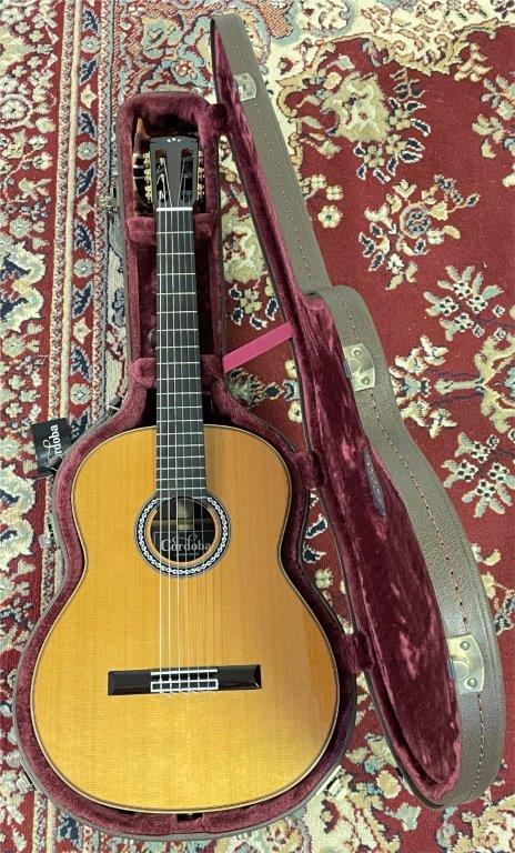 Dana Music - Master Luthier Instrument & Electronics Repair