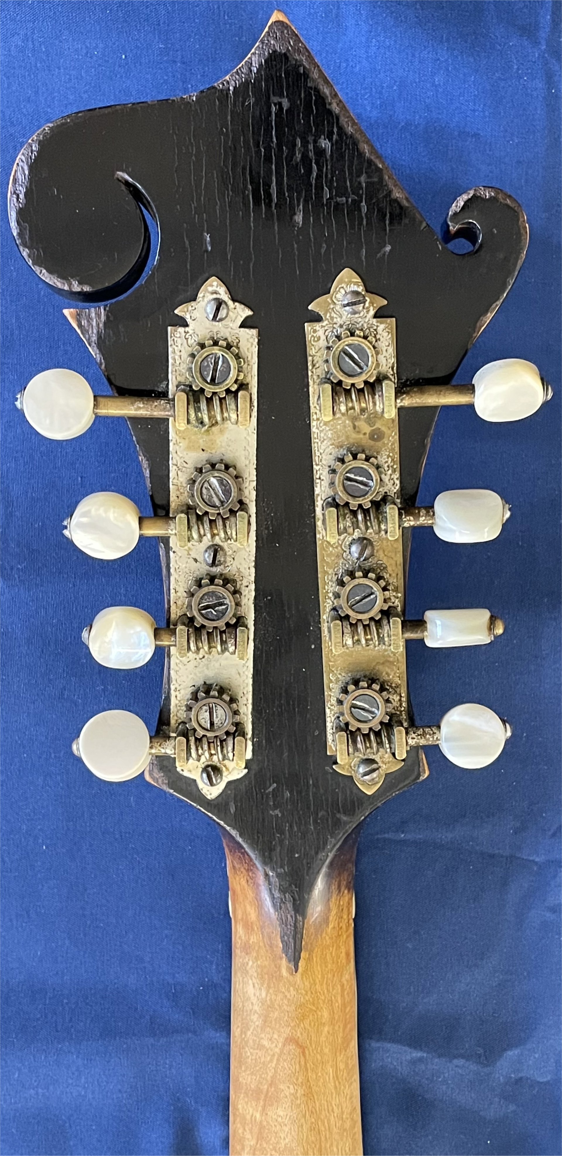 Dana Music - Master Luthier Instrument & Electronics Repair