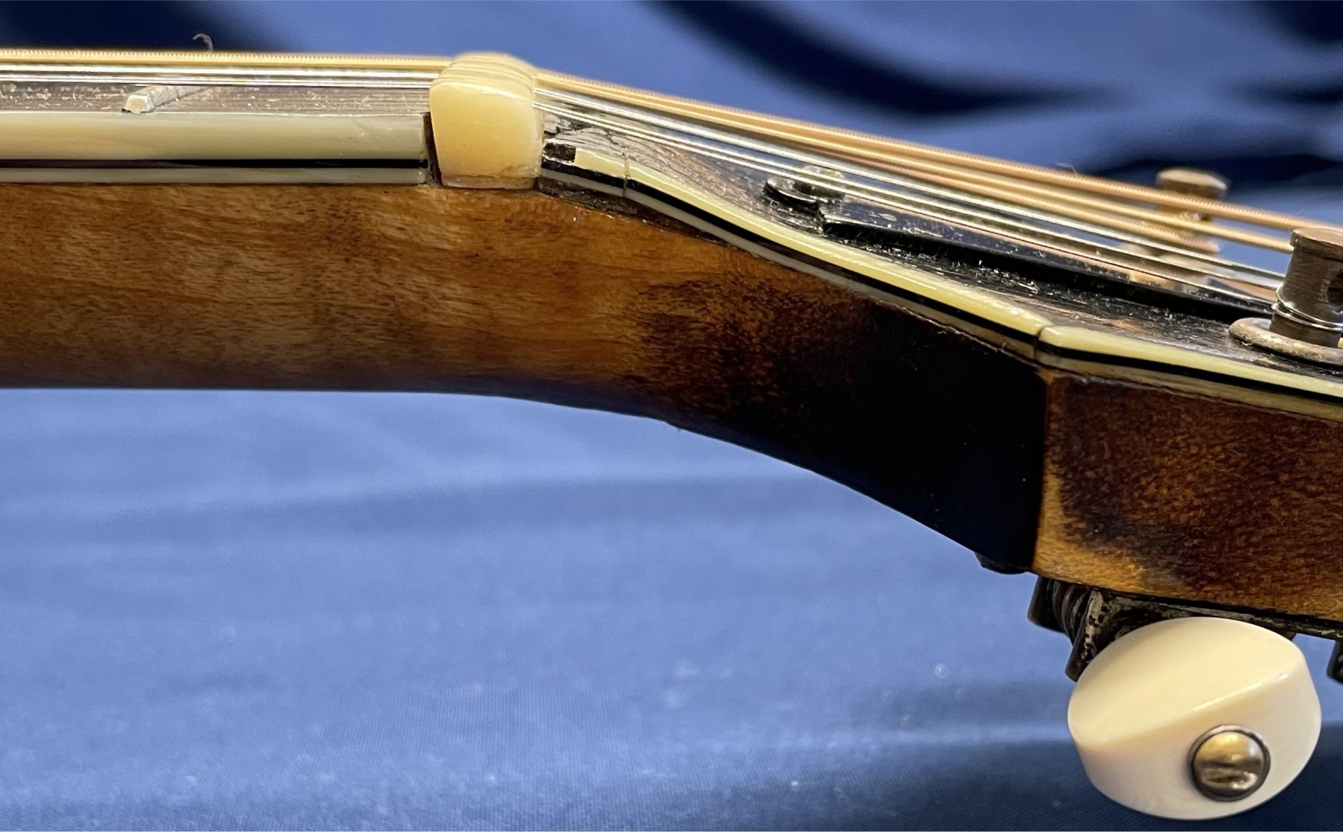 Dana Music - Master Luthier Instrument & Electronics Repair