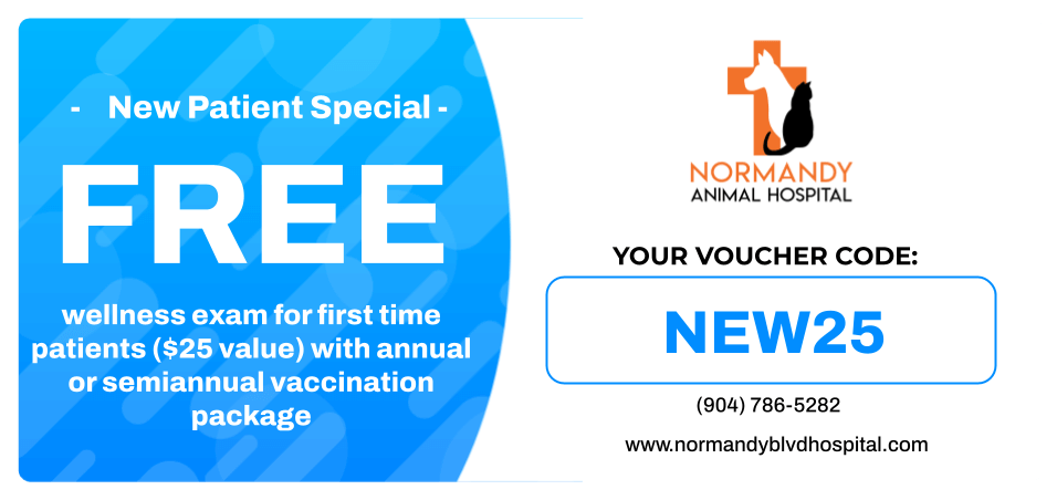Current Special Offers | Normandy Animal Hospital