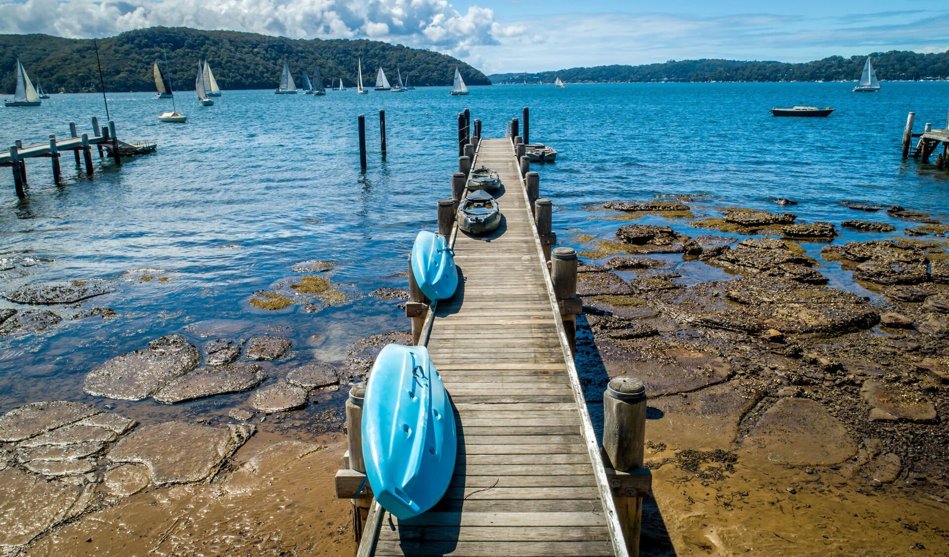 home [www.accessbarges.com.au]