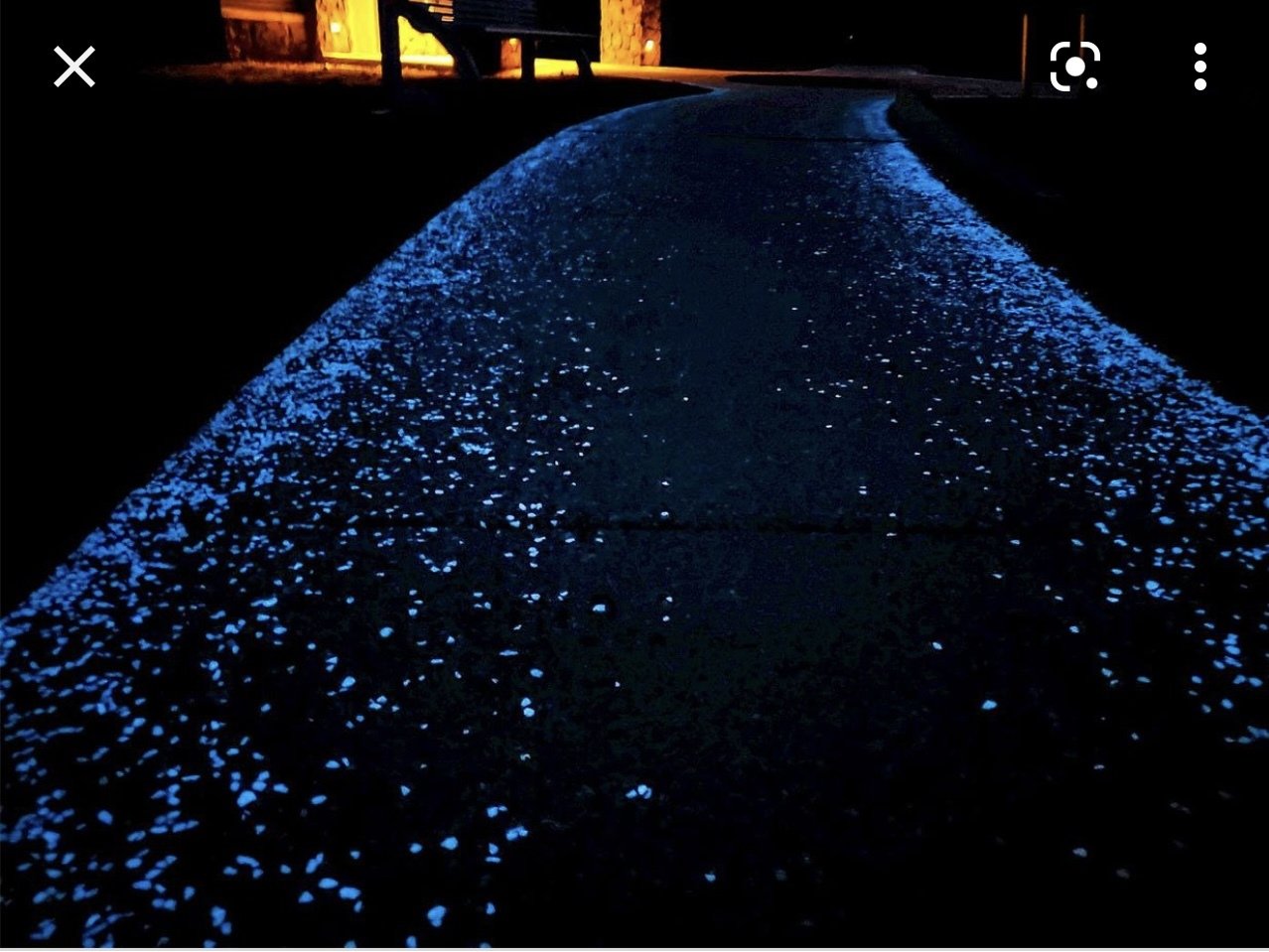 Glow in the Dark Concrete Middle TN | All Things Outdoors