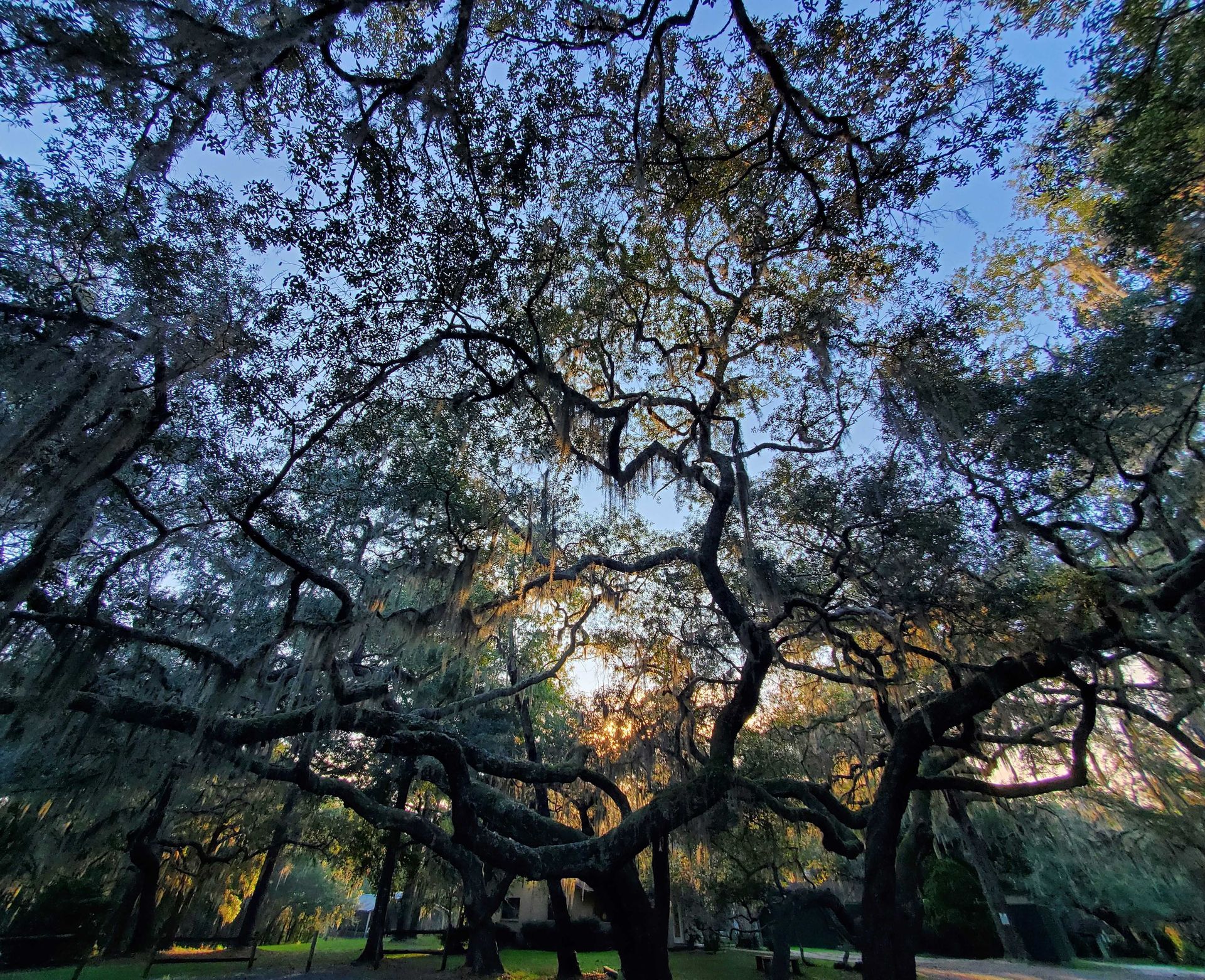 Montgomery Center Residential Camps