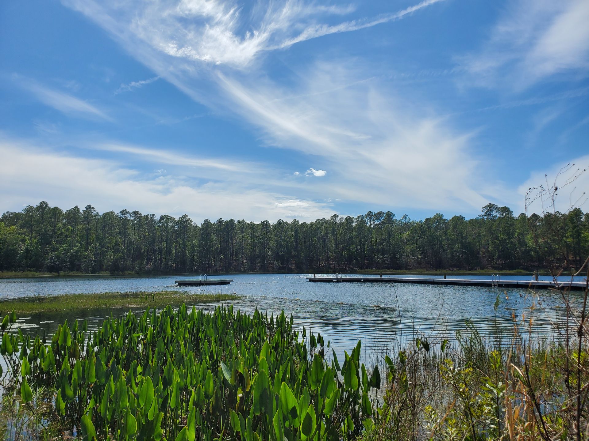 Montgomery Center: Camp, Conference, Retreat