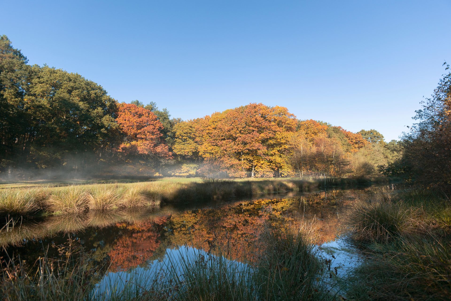 Welkom in Nationaal Park Bosland
