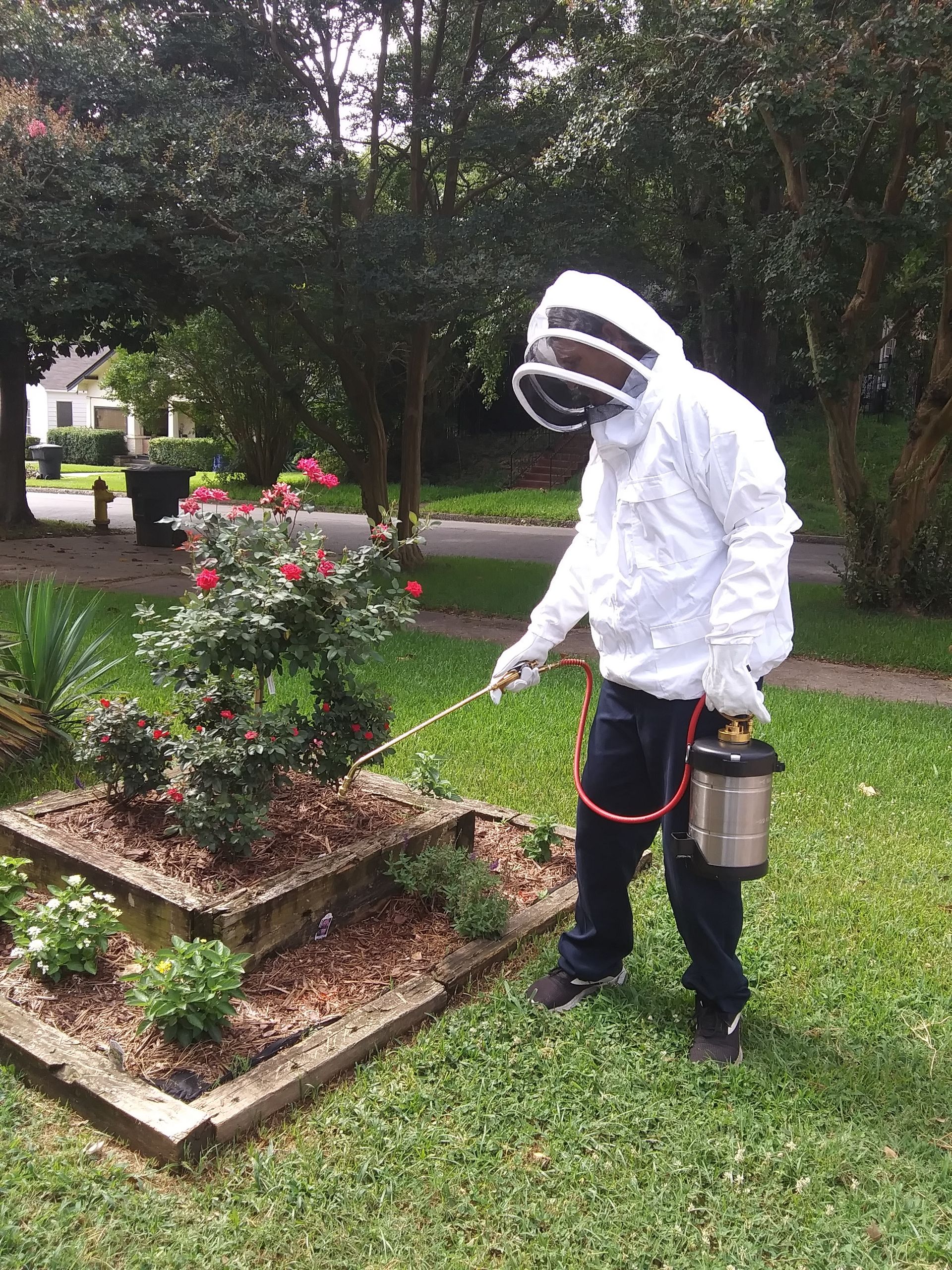 Shaw Pest Solutions | Pest Control | Shreveport, Louisiana