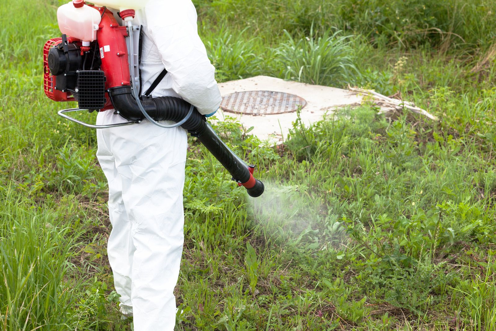 Shaw Pest Solutions | Pest Control | Shreveport, Louisiana