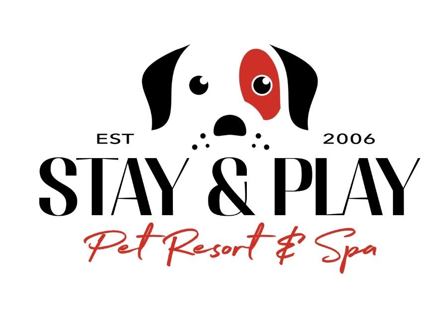 Stay and Play Pet Resort | Boarding