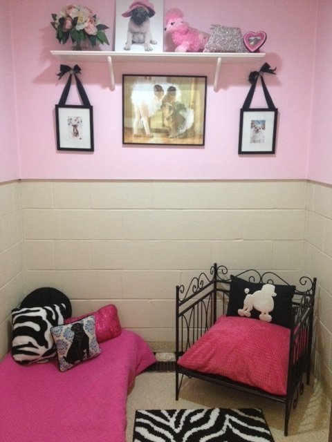 Stay and Play Pet Resort | Boarding