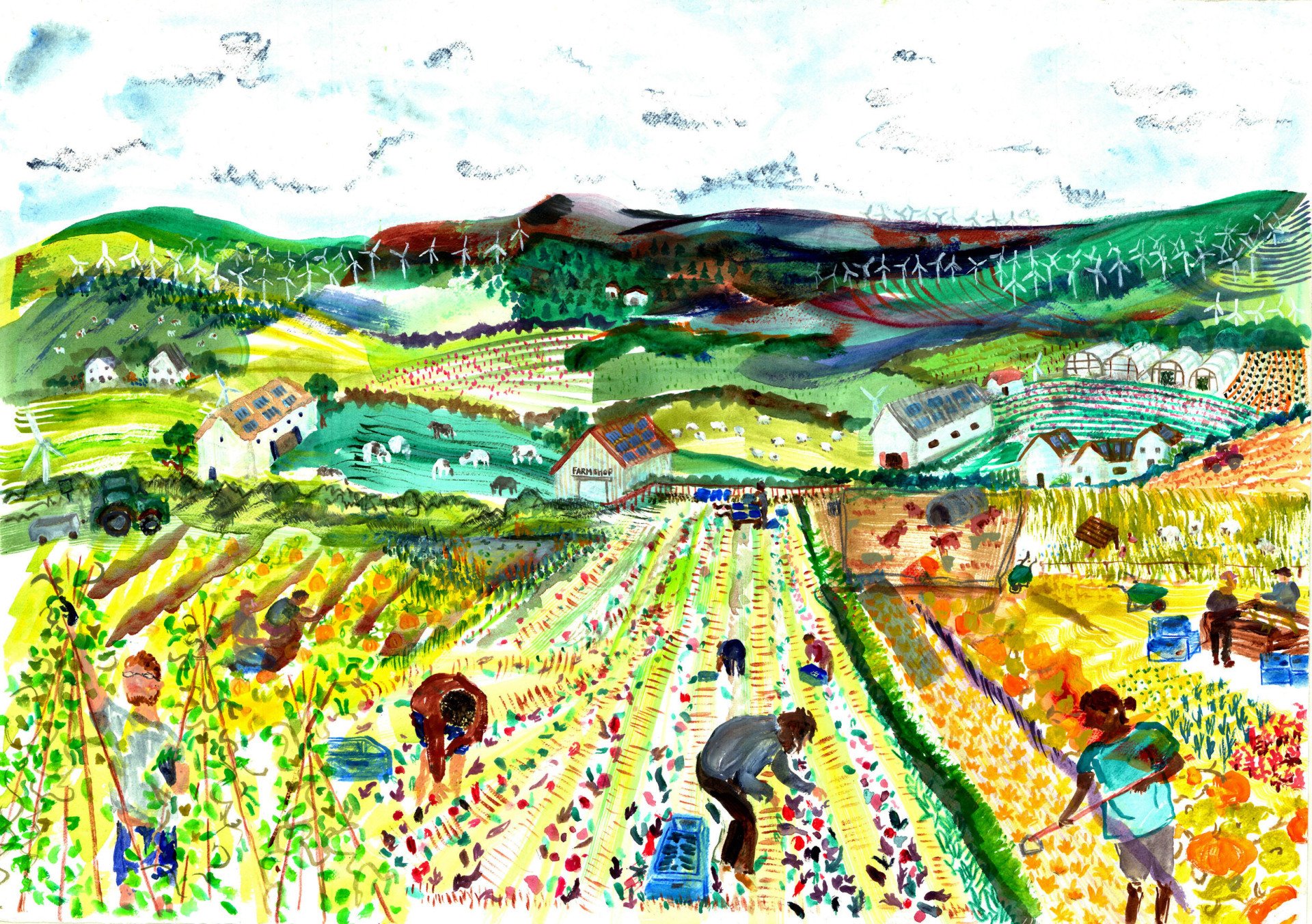 Regenerative Farming Network