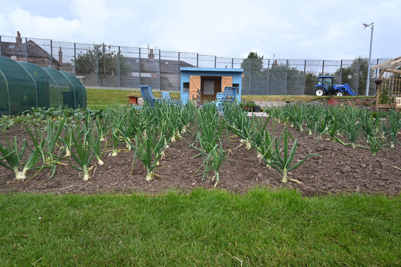 The Wellbeing Garden at HMP Dumfries