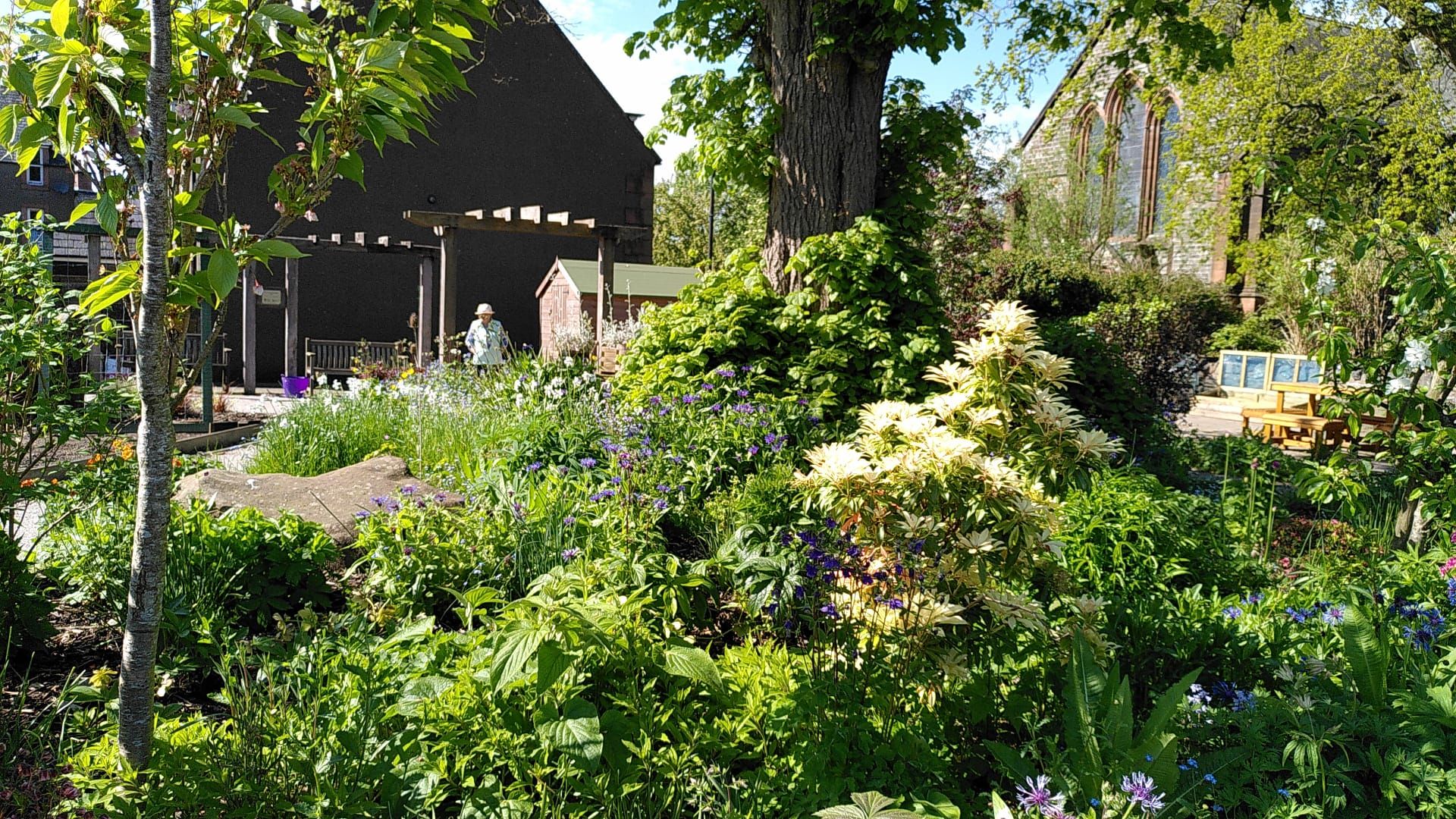 Dumfries and Galloway Sustainable Food Partnership