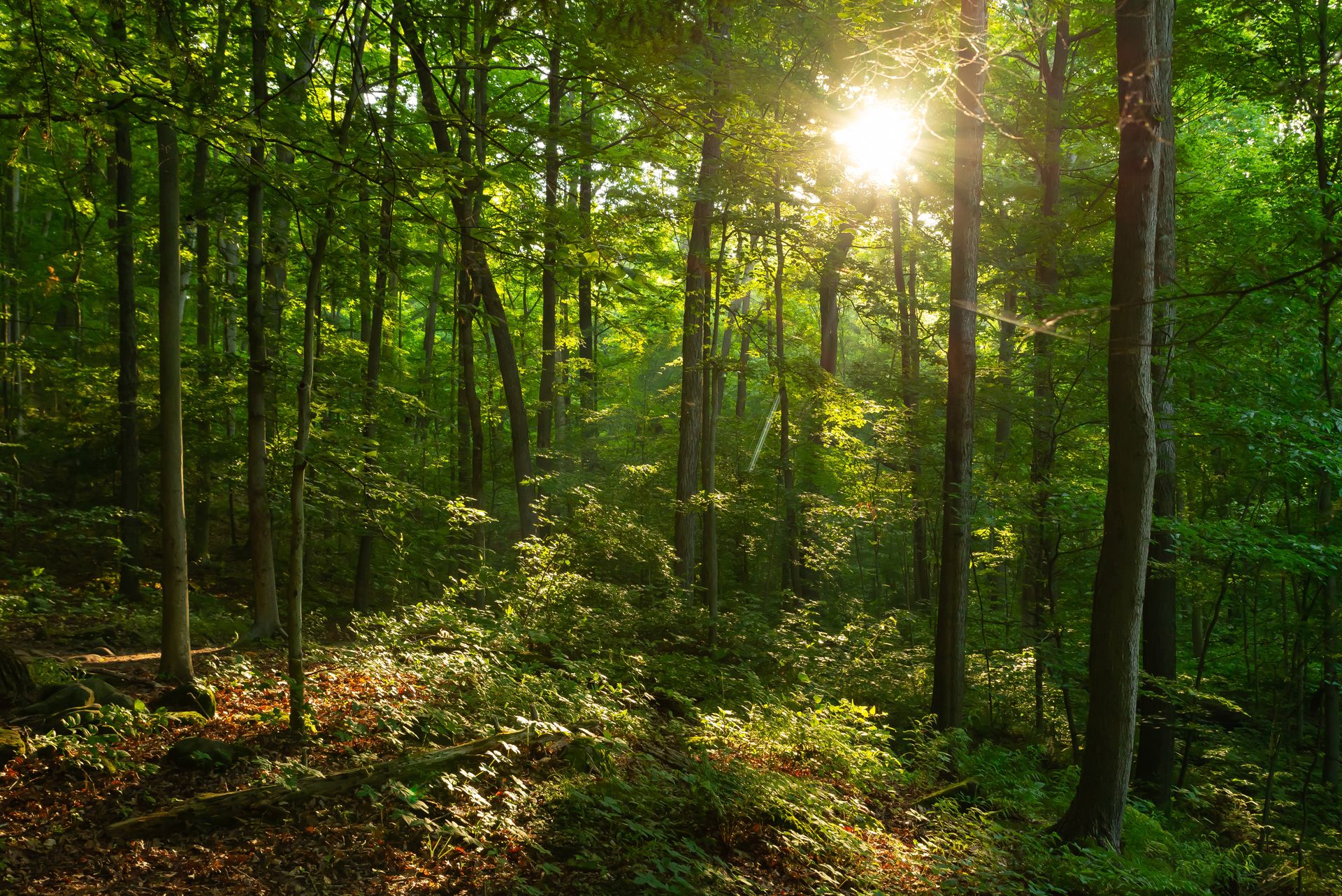 Raven Choate Robinson Funeral Home | Marion, IN