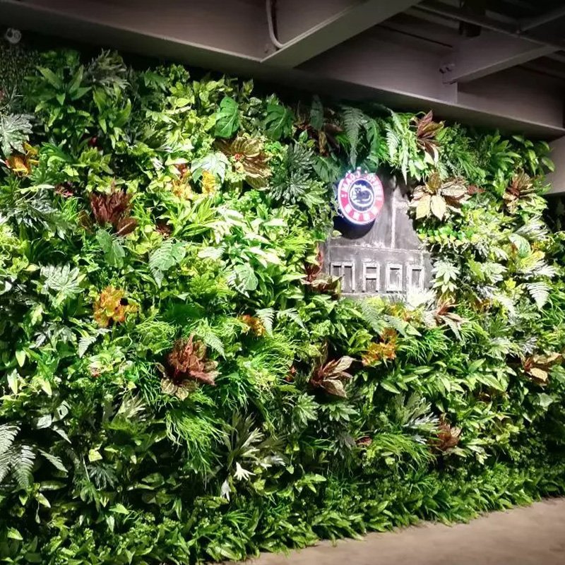 DFW #1 Project Backdrops Rental Company | Dallas, Fort Worth TX