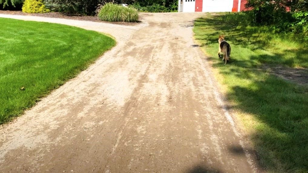 Maintaining Your Gravel Driveway: 6 Essential Tips