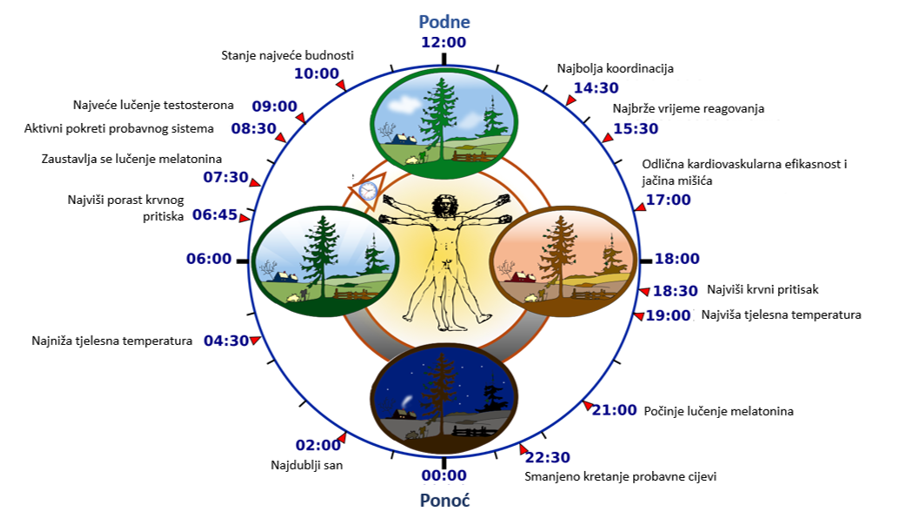 Noćni rad zdravstvenih radnika