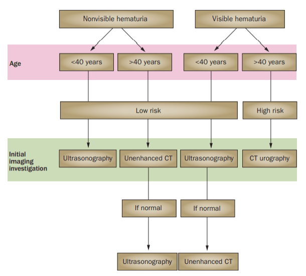 ULOGA CT UROGRAFIJE KOD HEMATURIJE