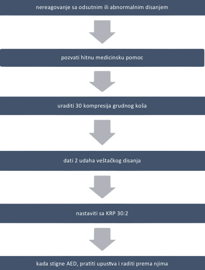 Kardiopulmonalna reanimacija (KPR)– Basic Life Support (BLS)