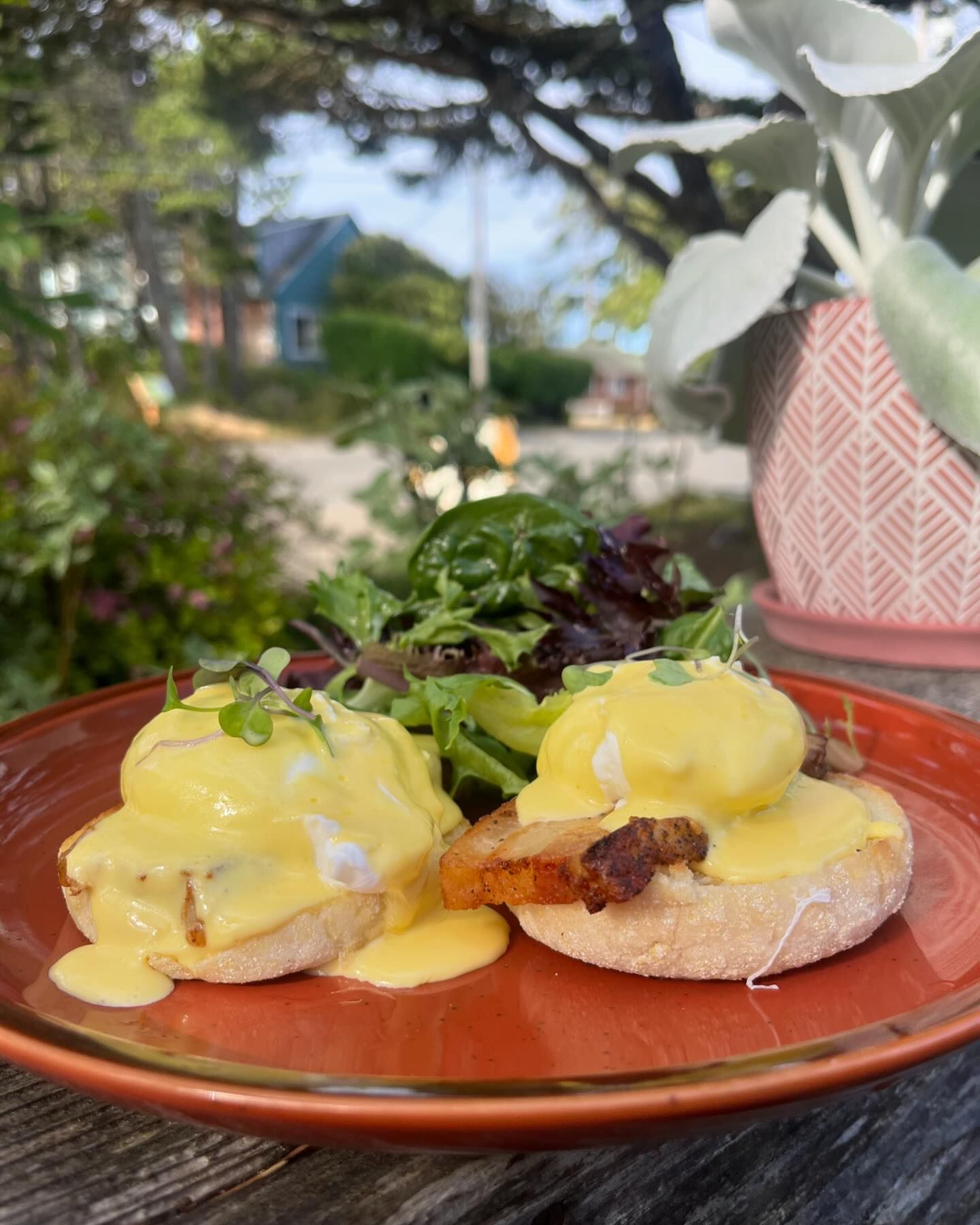 Brunch Café | Yolk Brunch | Manzanita, OR