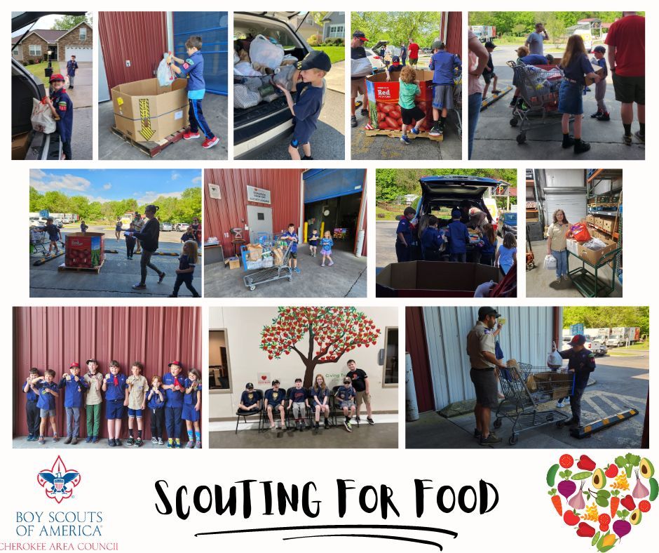 2,762 Meals Collected for Chattanooga Area Food Bank by Local Scouts