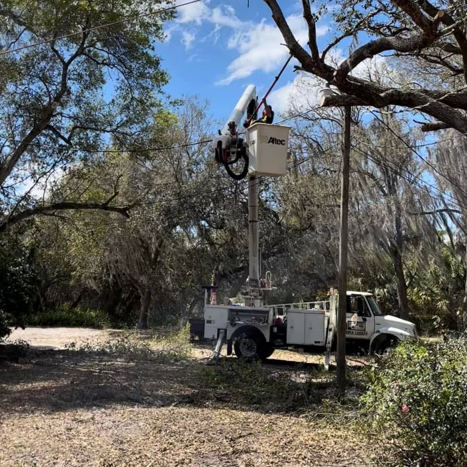 Tree Removal Service in Kingsland, GA | Bucket Man Tree Services