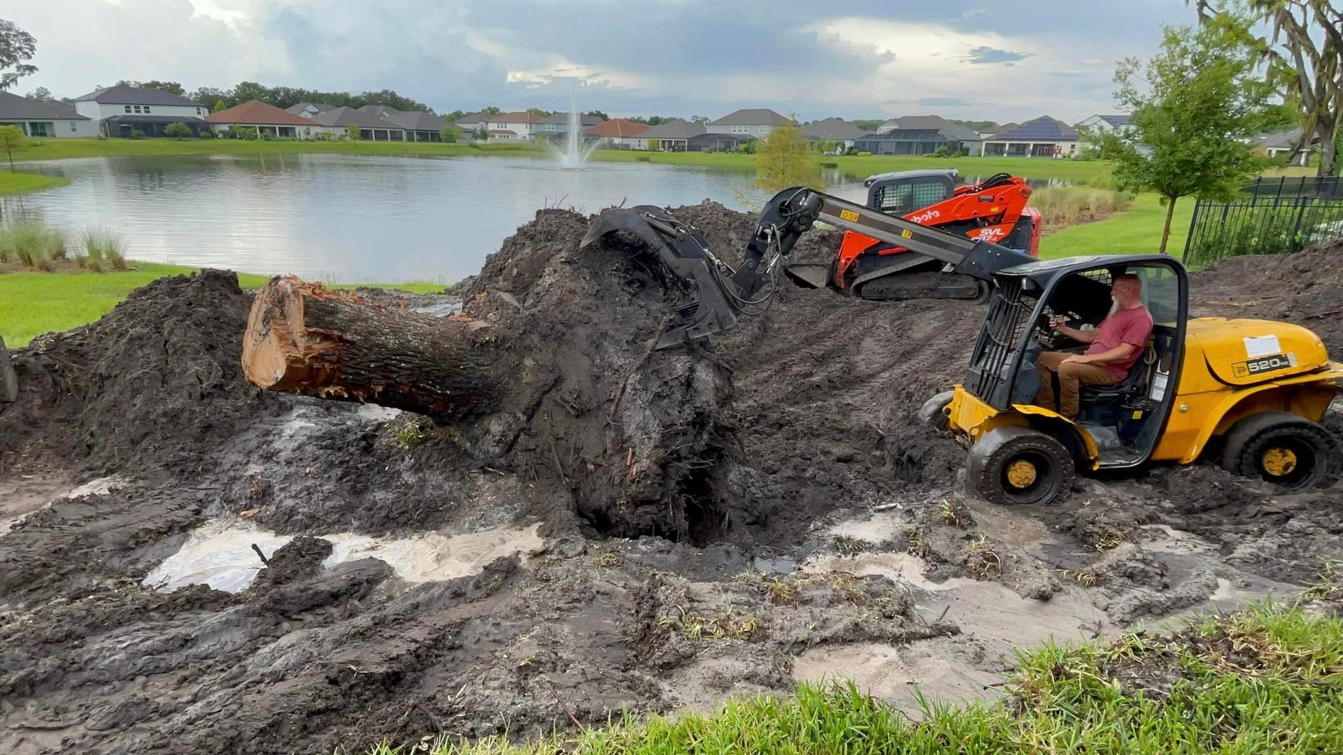 Tree Removal Service in Kingsland, GA | Bucket Man Tree Services