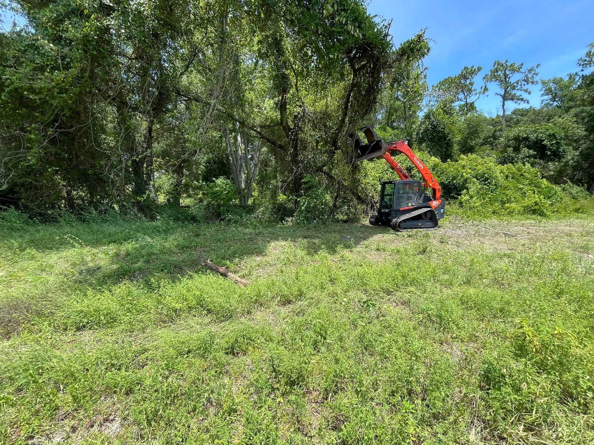 Tree Removal Service in Kingsland, GA | Bucket Man Tree Services
