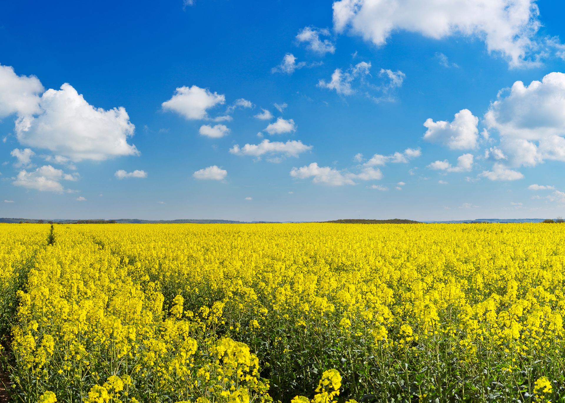 Charles O. Dimond Funeral Home, Inc.