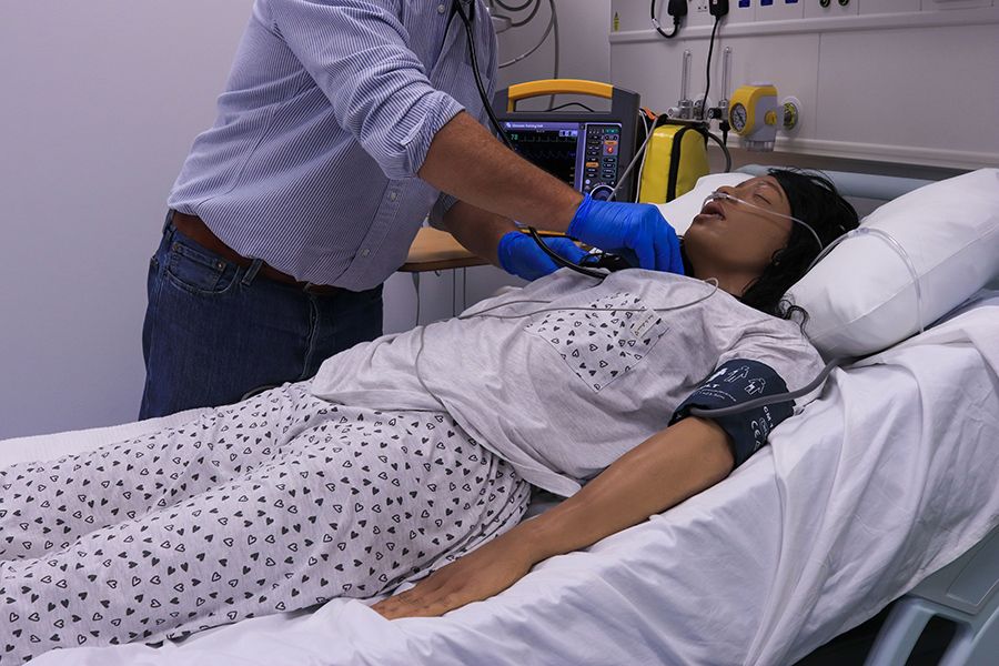 Lifecast Body Simulation | Adult Male & Female