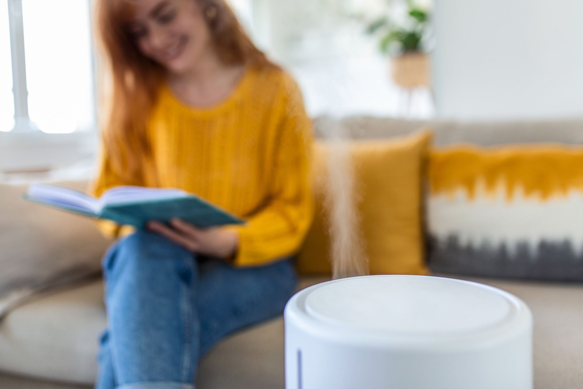 Humidifier vs Dehumidifier: Best Choice for Home Comfort
