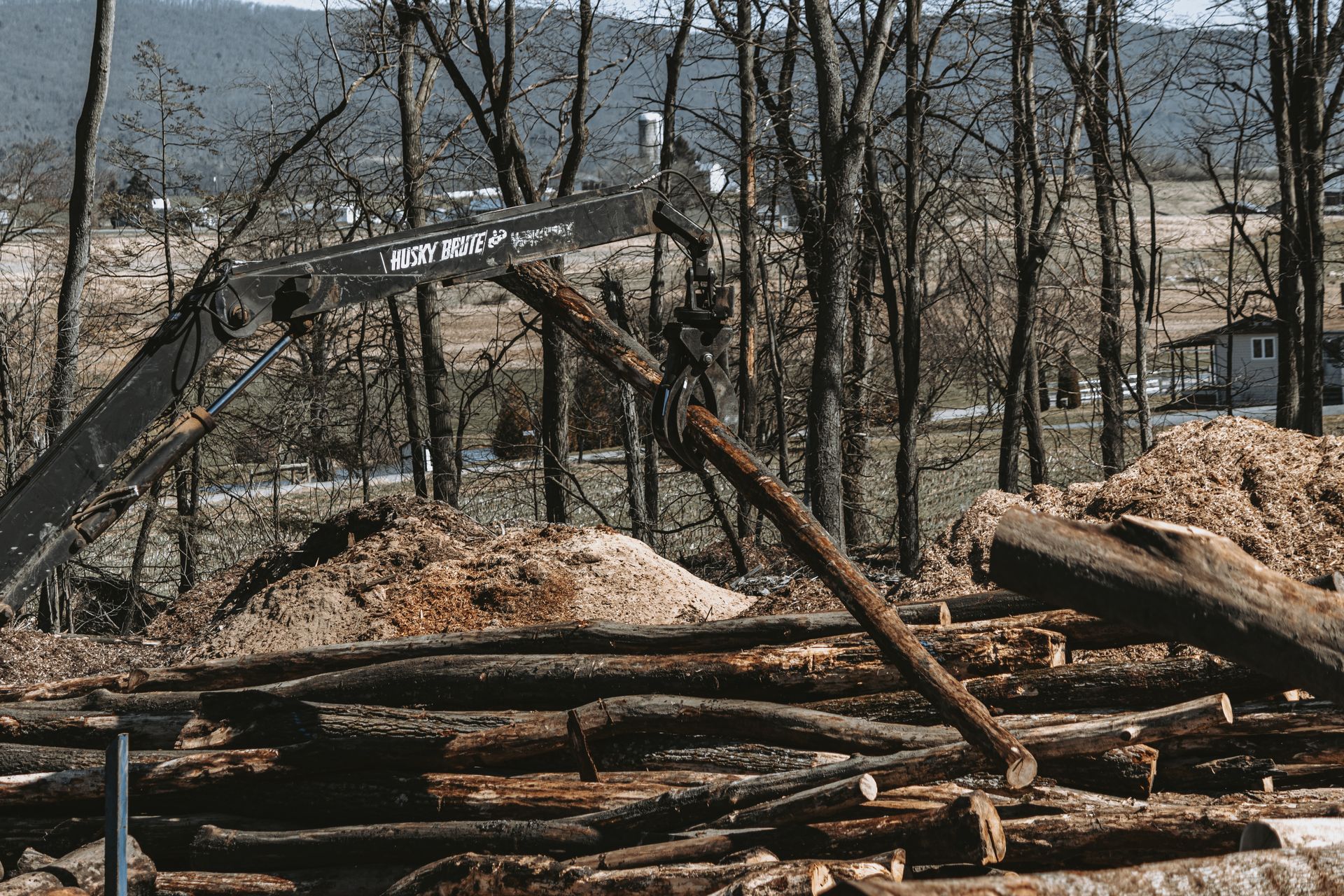 Sustainability | Central PA Timber Frames | Timber Frame Solutions