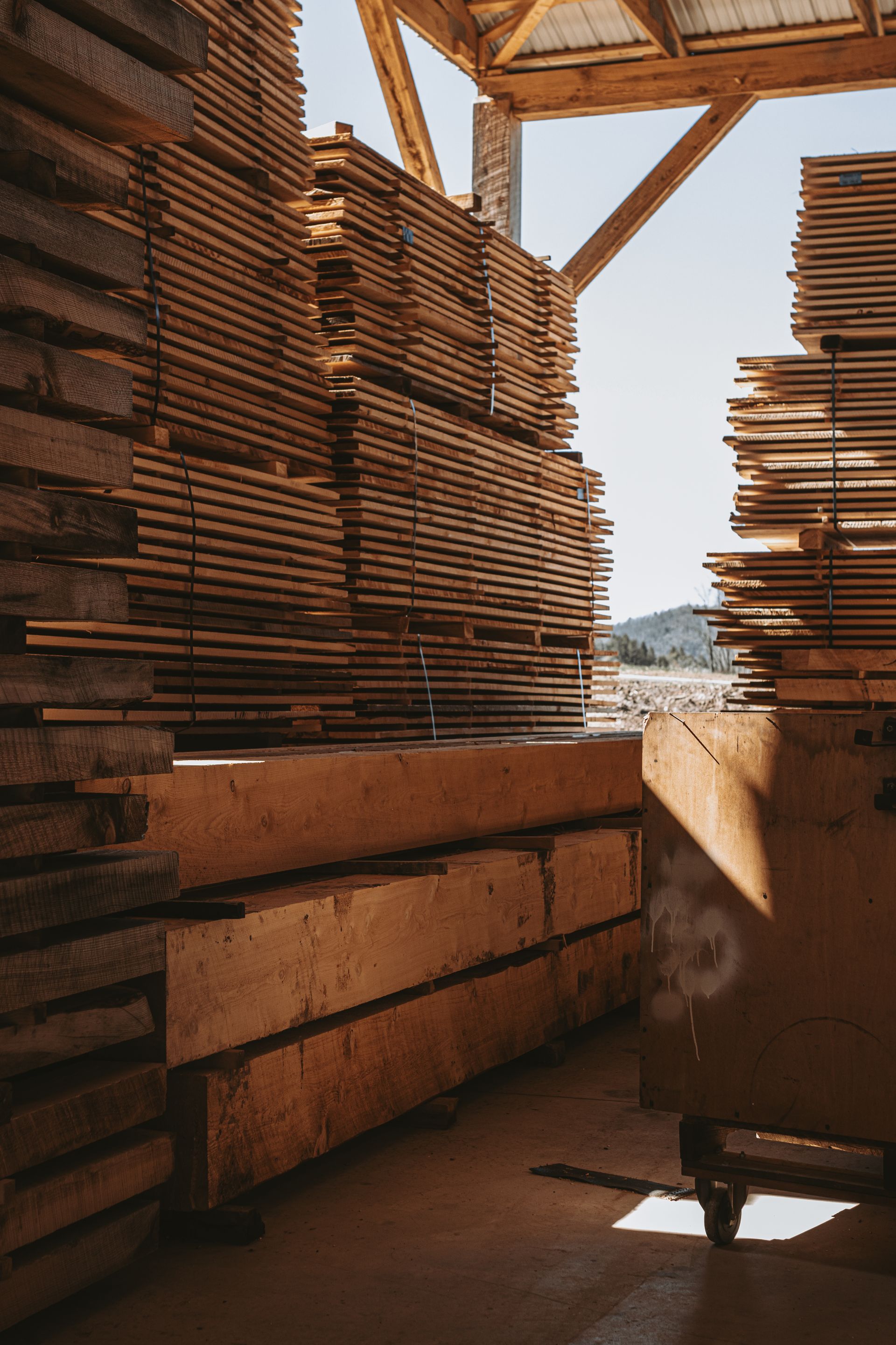 Sustainability | Central PA Timber Frames | Timber Frame Solutions