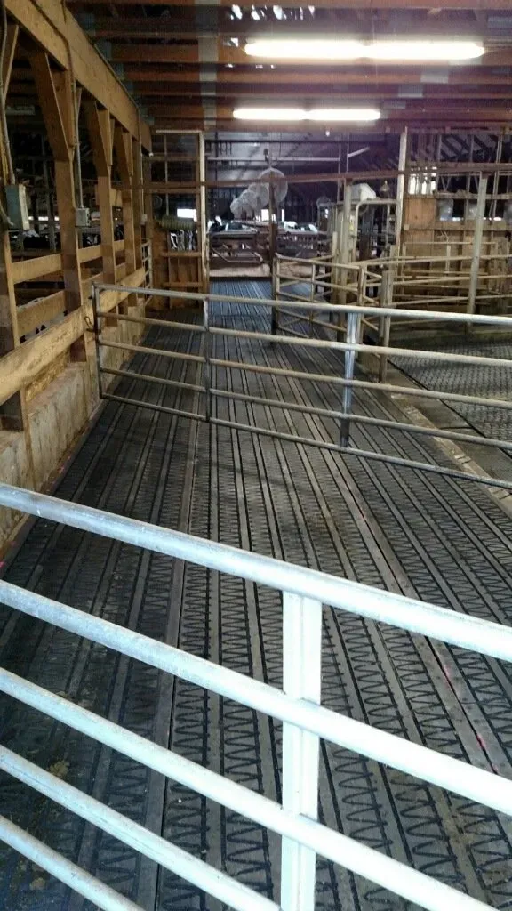 Livestock Mats