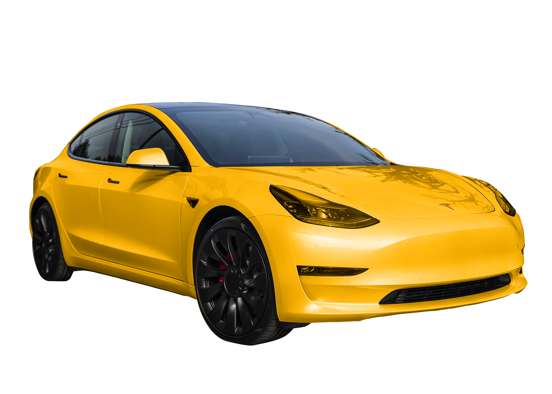 Tesla Cybertruck_Model 3_Y_S / Tint-PPf_Vinyl Wrap-Color PPF Film -in ...
